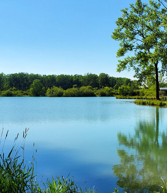 frame worthy park ohio ftr