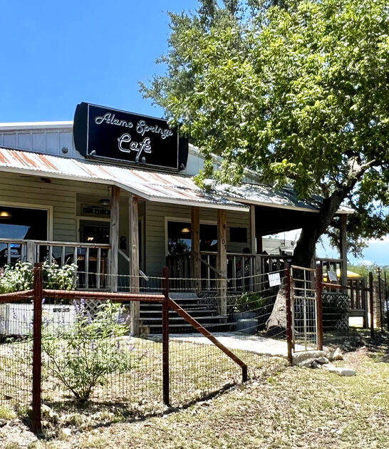 french fries cafe texas ftr