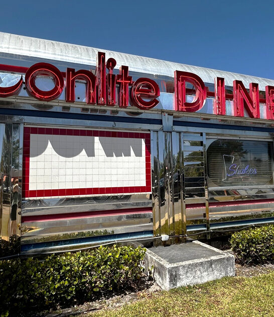 french soup florida hiding ftr