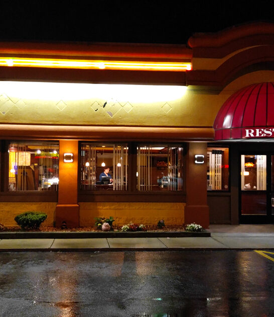 french soup illinois diner FTR