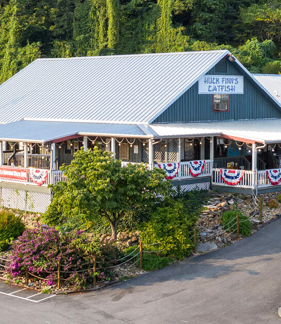 fried chicken livers tennessee ftr