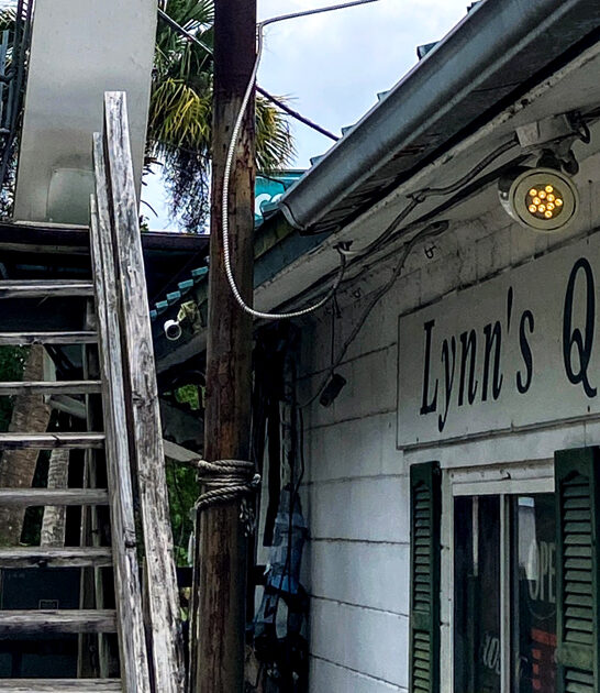 fried shrimp joint florida ftr