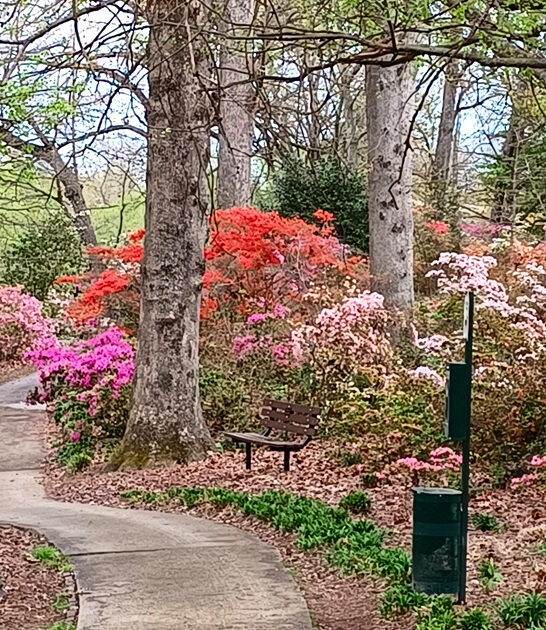 garden lovely south carolina ftr