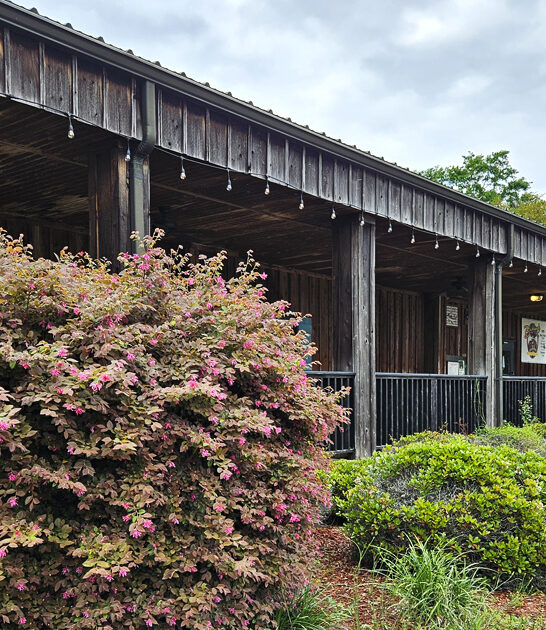 georgia barbecue restaurant ftr