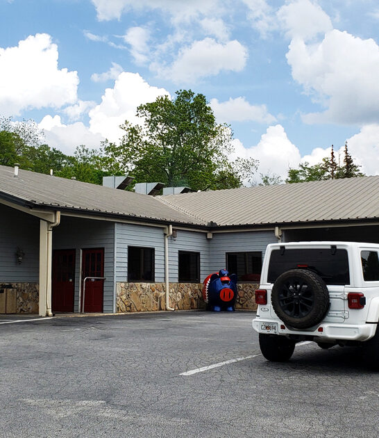 georgia bbq joint classic ftr