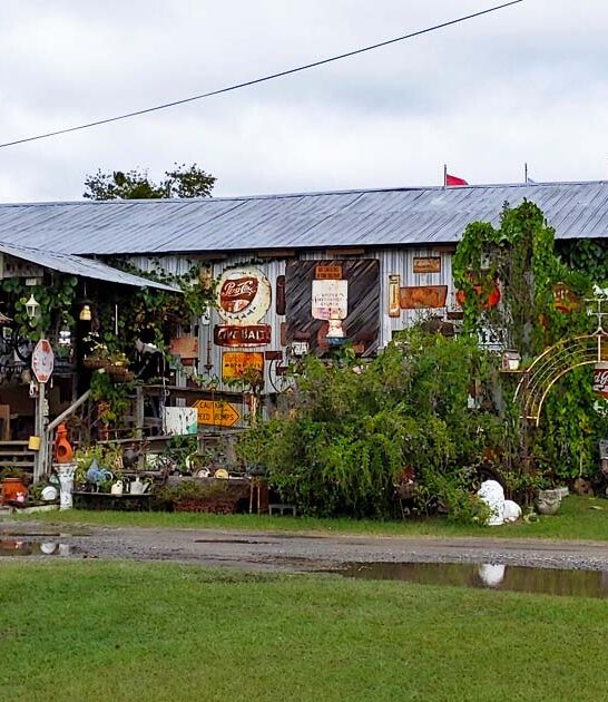 georgia black friday swap ftr