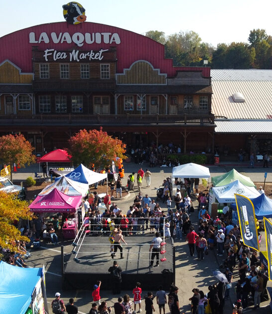 georgia cheap flea markets ftr