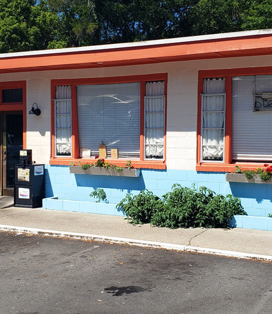 georgia eat earth restaurant ftr
