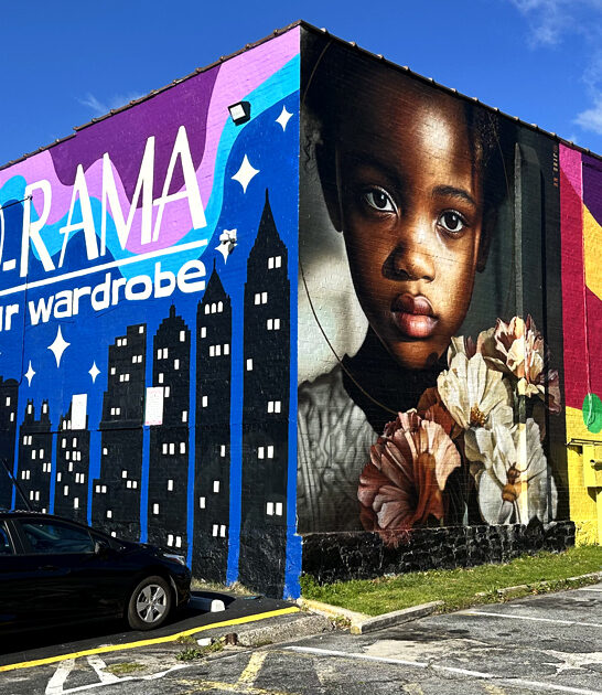 georgia enormous thrift haven ftr