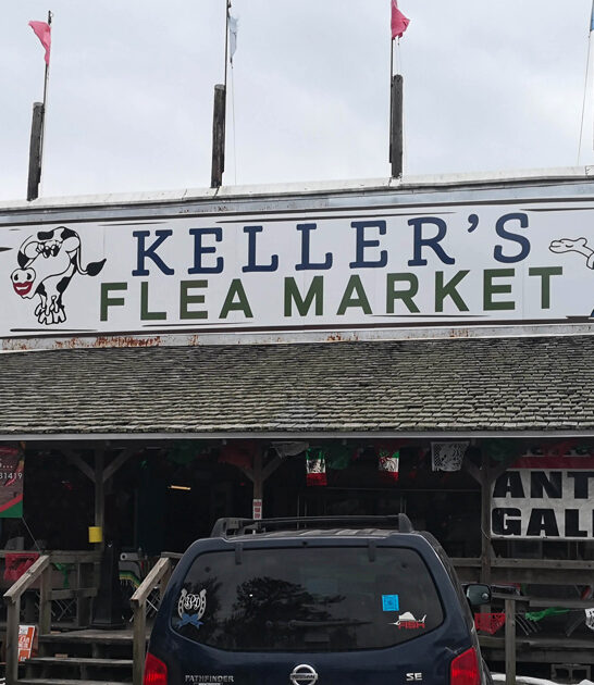 georgia flea outrageous deals ftr