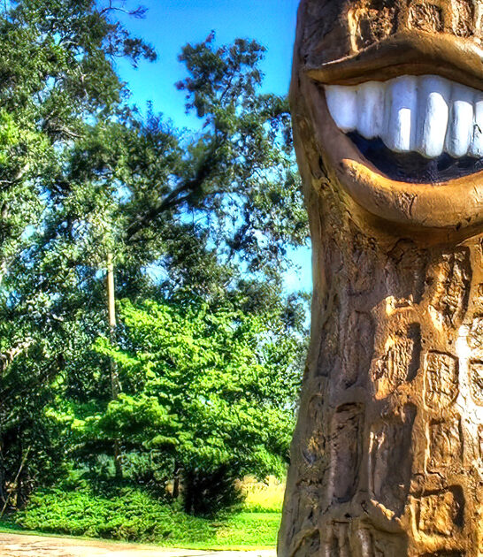 georgia massive roadside attraction ftr