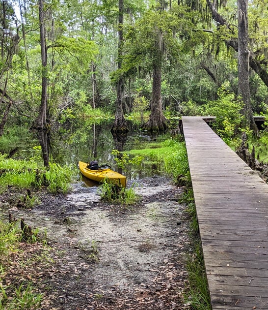 georgia picture park perfect ftr