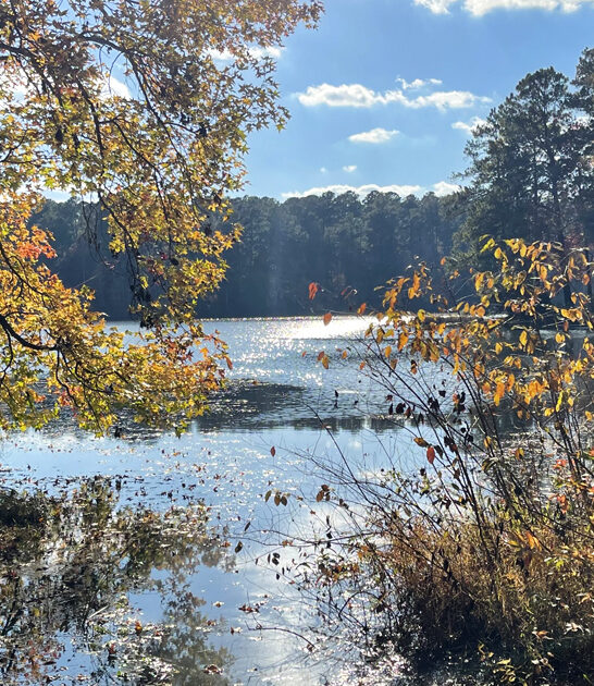 georgia picturesque relaxing parks ftr
