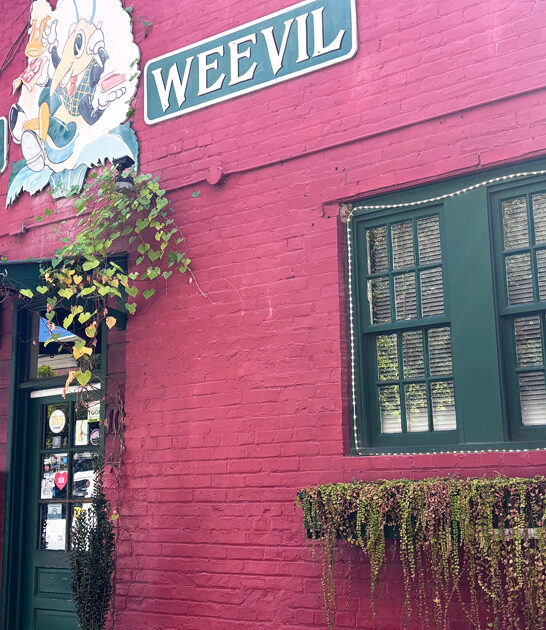 georgia shrimp restaurant grits ftr