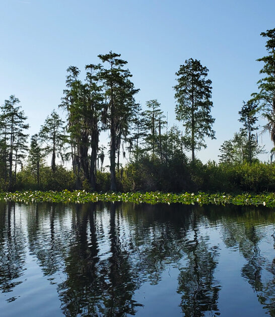 georgia stunning park secret ftr