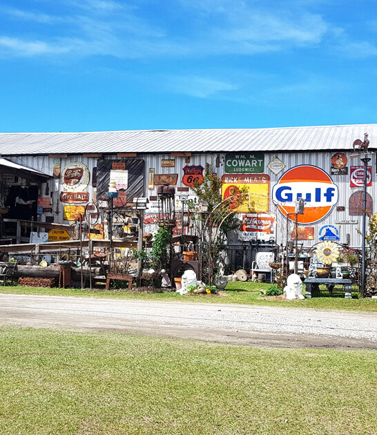 georgia swap meet sale ftr