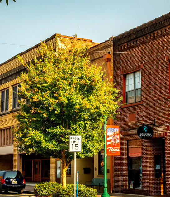 georgia town scenic drive ftr