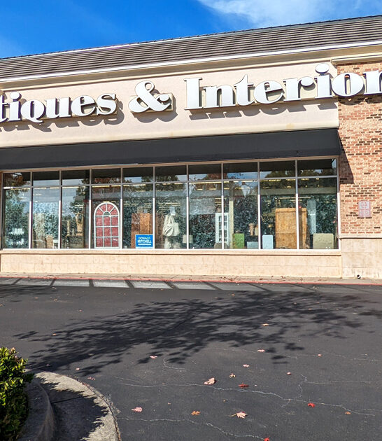 georgia vintage antique market ftr