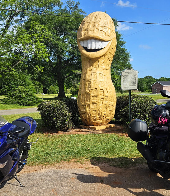 georgia worlds largest peanut ftr