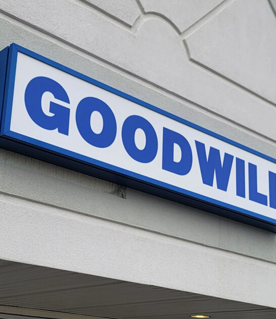 giant michigan thrift store ftr