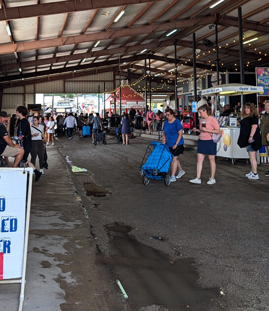 gigantic bazaar texas deals ftr