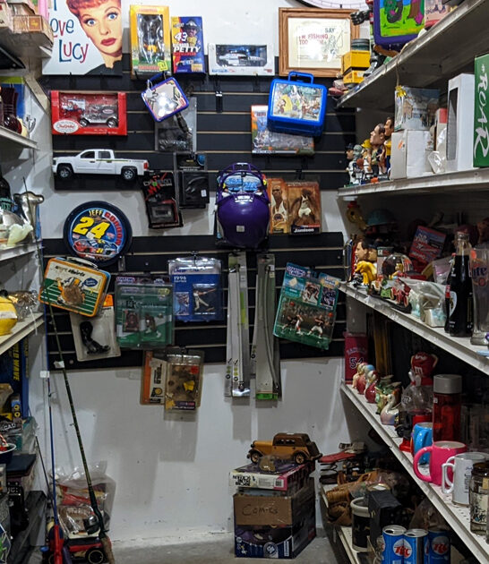 gigantic flea market minnesota ftr