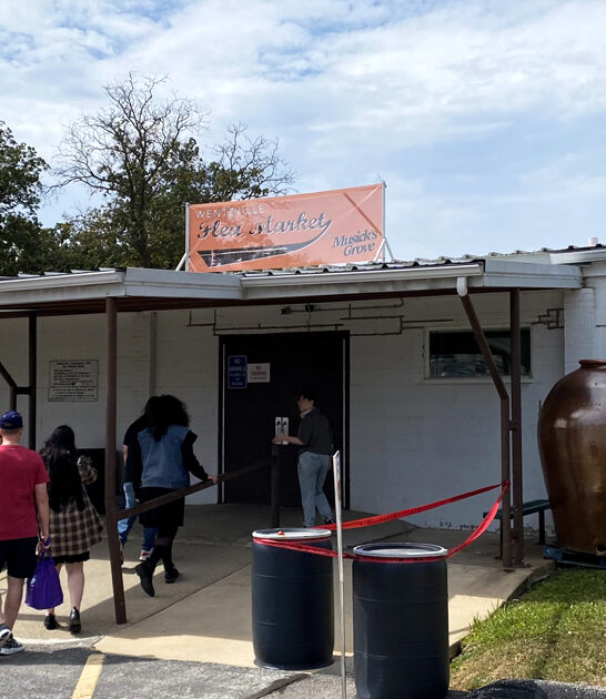 gigantic flea missouri bargain ftr