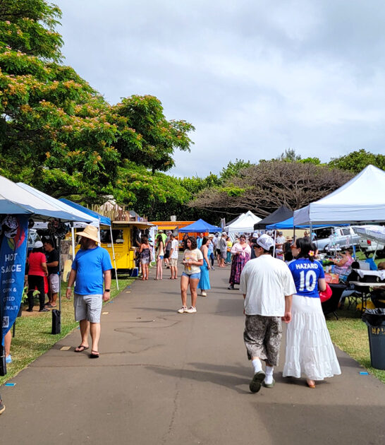 gigantic hawaii market backseat ftr