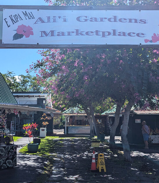 gigantic meet hawaii bargain ftr