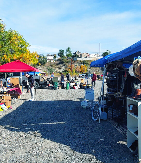 gigantic montana bargain hunters ftr
