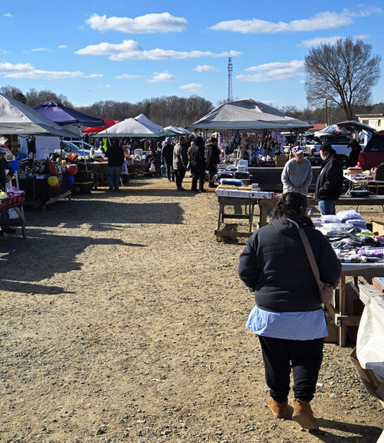 gigantic north carolina fills ftr