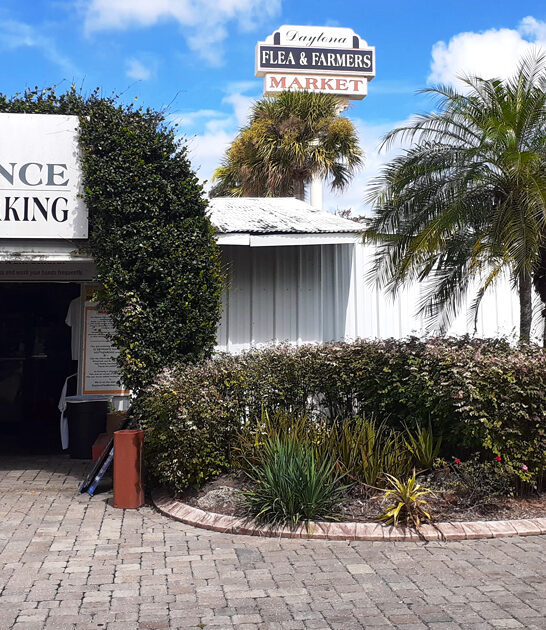 gigantic terrific market florida ftr