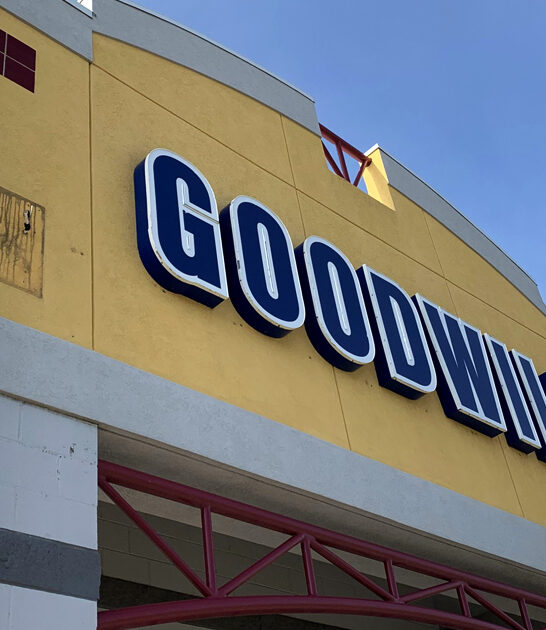 gigantic thrift store montana ftr