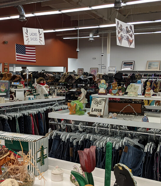 gigantic thrift wyoming bargains ftr