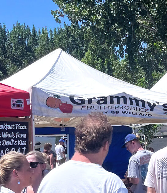 gigantic utah swap meet ftr