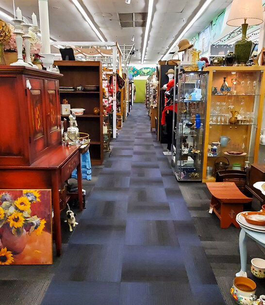 gigantic washington vintage store ftr