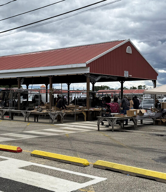 ginormous flea new jersey ftr