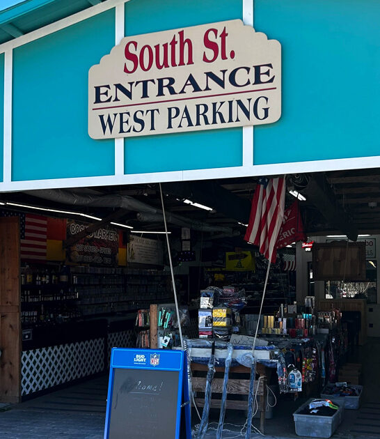 ginormous florida flea wonderland ftr