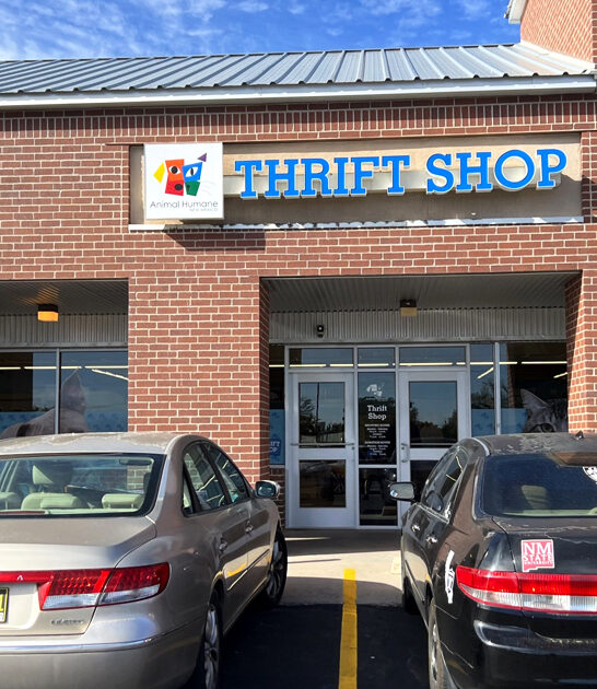 good new mexico bargains ftr