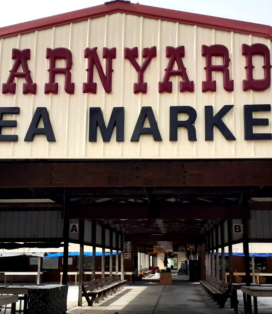 good south carolina markets ftr