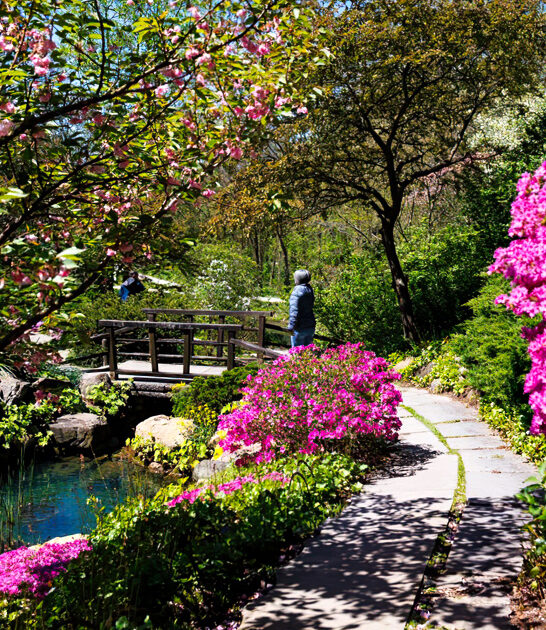 gorgeous botanical garden indiana FTR