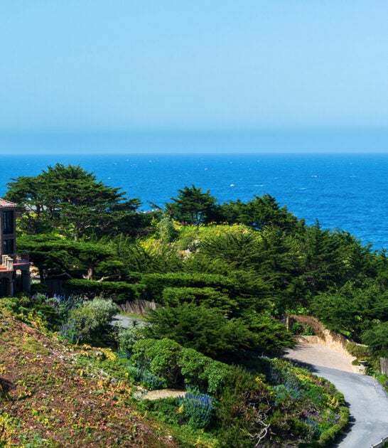 gorgeous california affordable town ftr