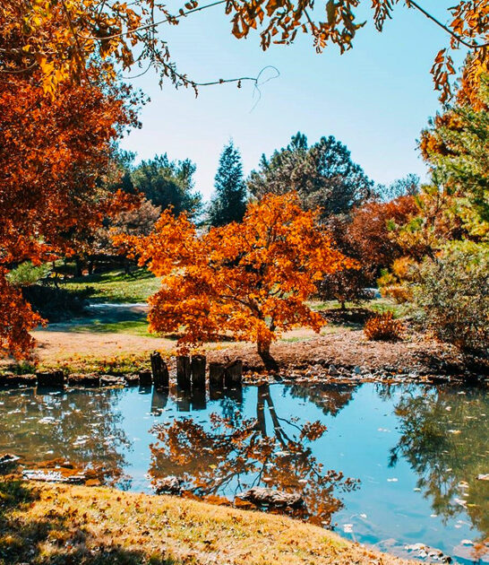 gorgeous japanese garden missouri FTR