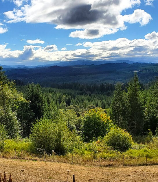 gorgeous oregon picturesque park ftr