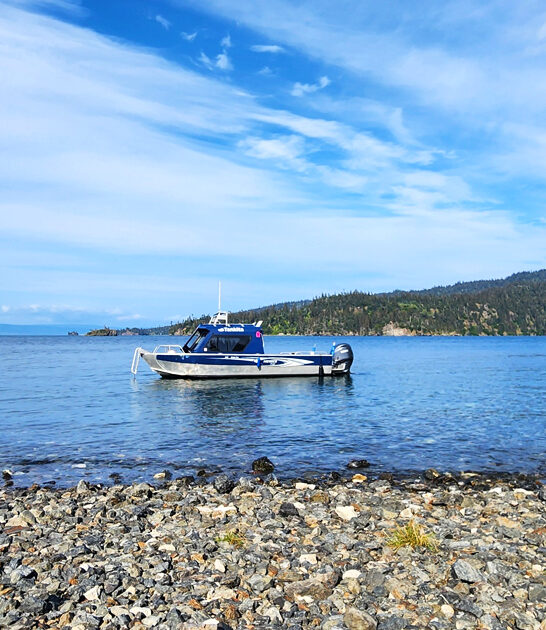 gorgeous park alaska dream FTR
