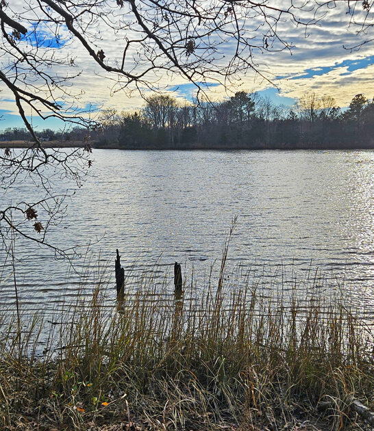 gorgeous park maryland state ftr