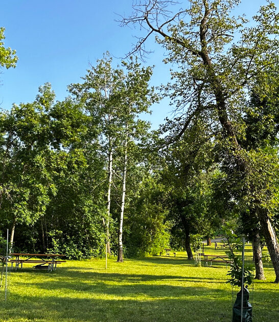 gorgeous park north dakota ftr