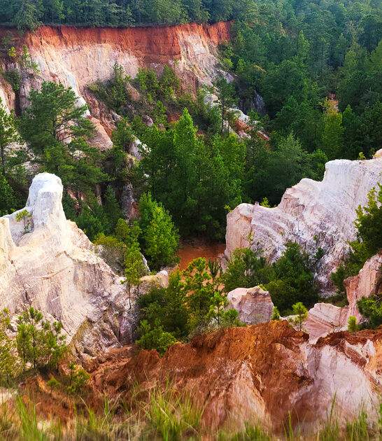 gorgeous parks georgia trip FTR