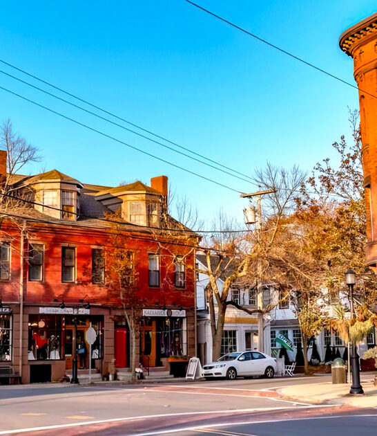 gorgeous-town-connecticut-security ftr