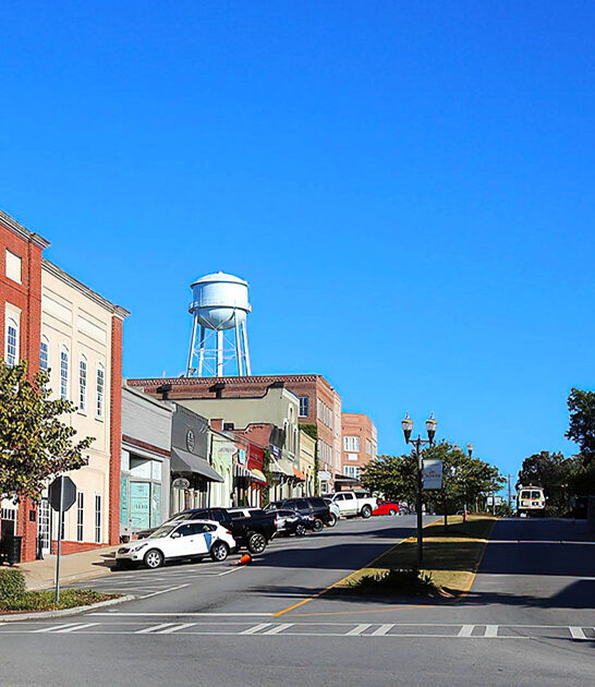 gorgeous towns affordable georgia ftr